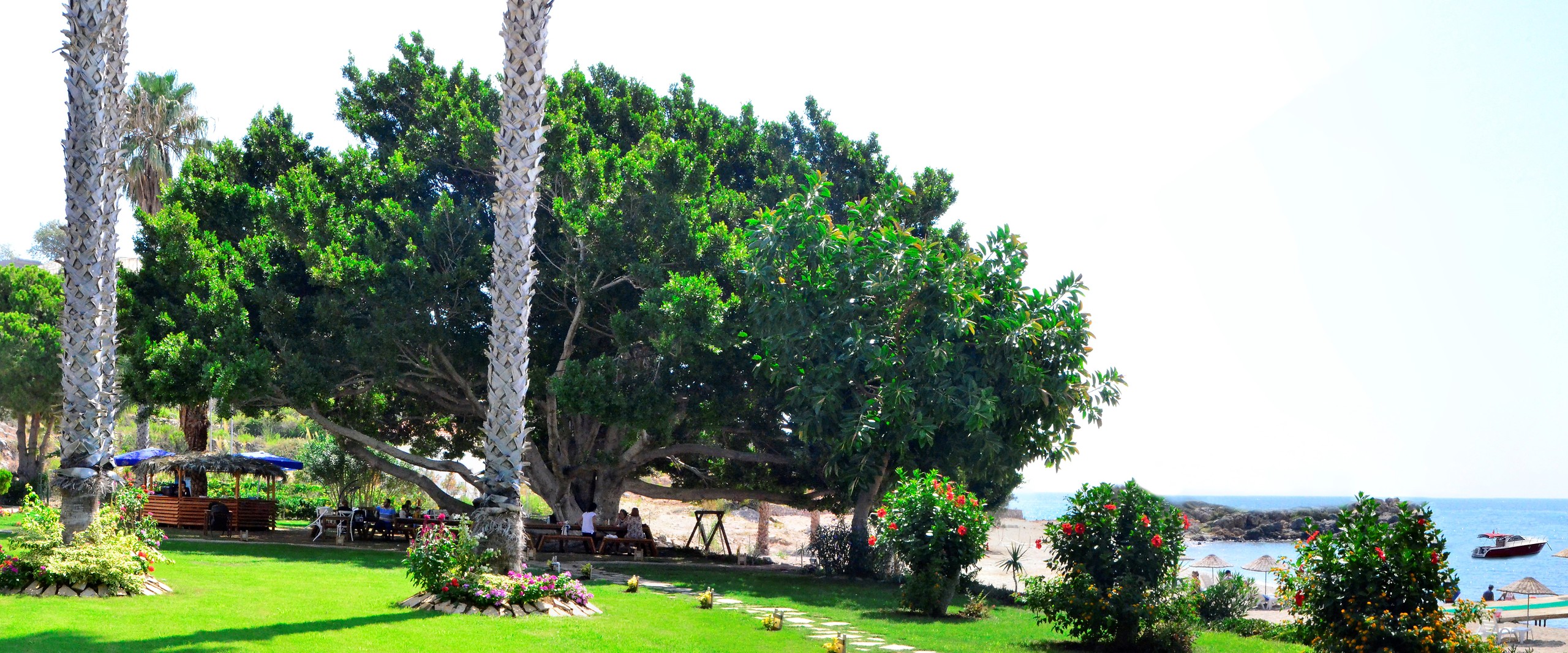 Marvel Tree Hotel | Etstur.com
